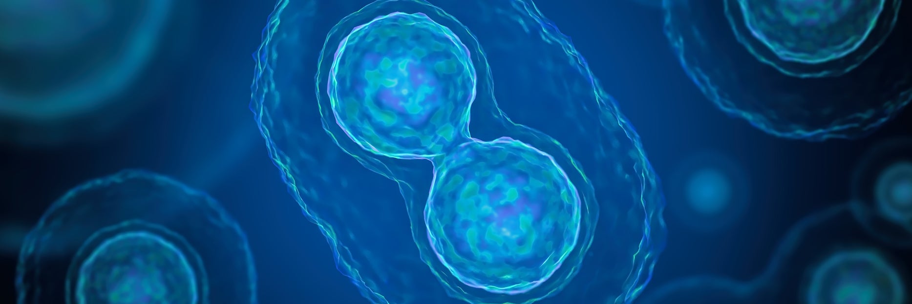 About | Graduate Program in Genetics, Genomics & Bioinformatics